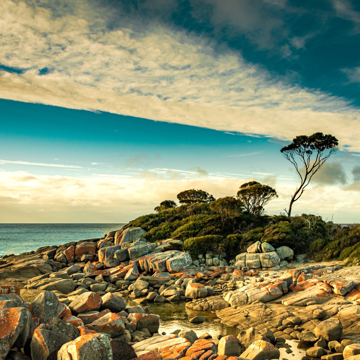 Locum vacancies | Ochre Health